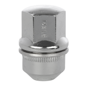 Direct Auto Import - DAI - OE Nuts